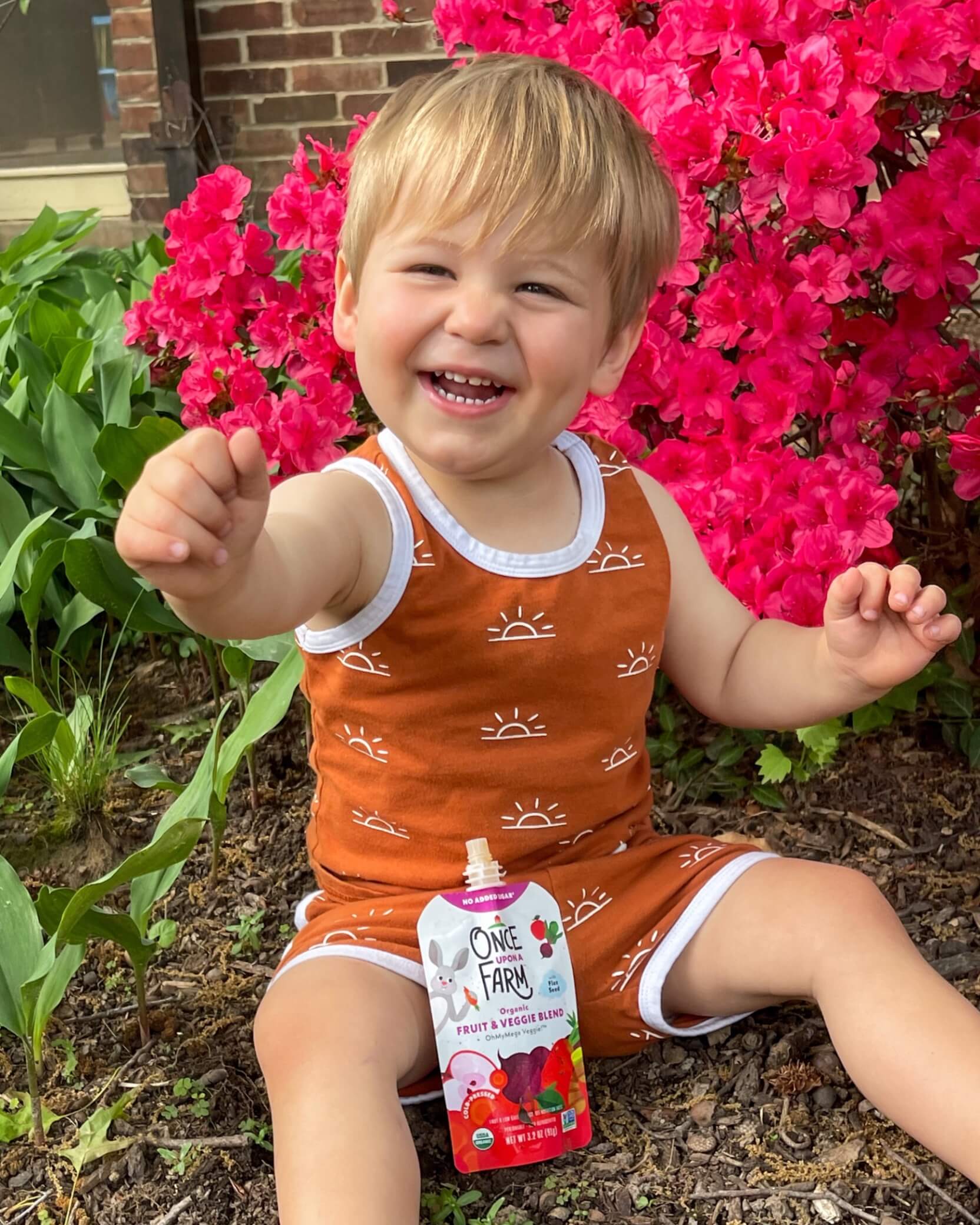 Easy Healthy Toddler Snacks For Summer Nourished By Nutrition
